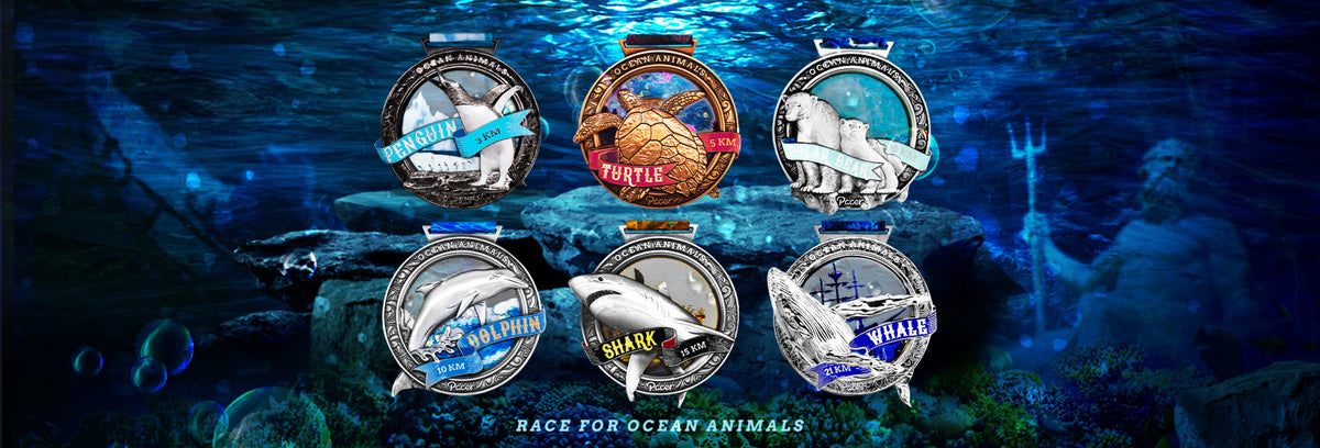 Race for Ocean Animals - Turtle 5km