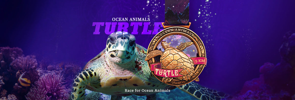 Race for Ocean Animals - Turtle 5km